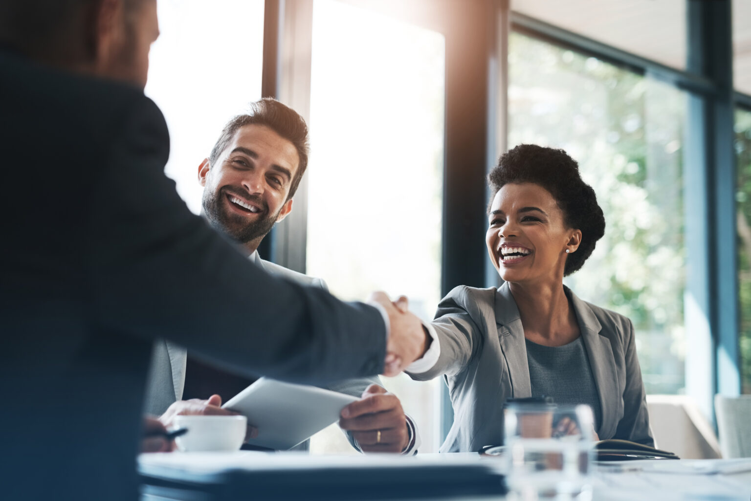 Interpretation and Translation Provider Selection Guide | Language ...